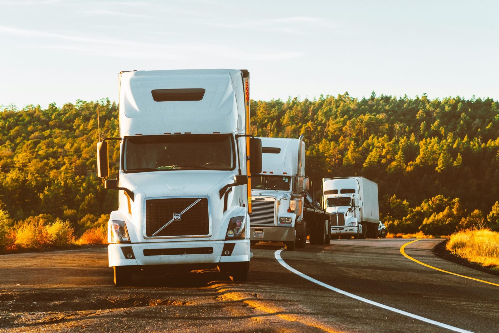 Guaranteed Delivery Services – Local and Long-Distance Moving Solutions ...